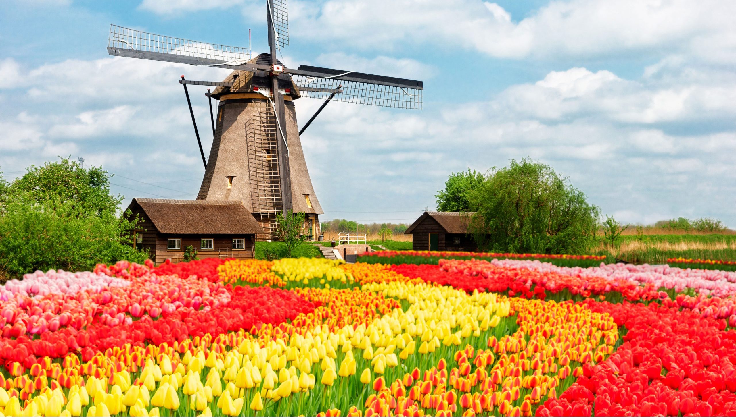 Netherlands Waterways Cruise - Witte Travel